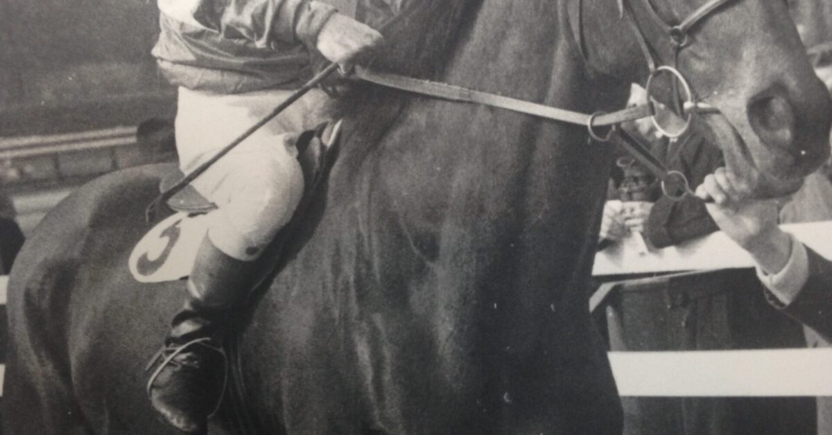 Willies's finest day in racing - STEPHEN WALLIS MEDIA